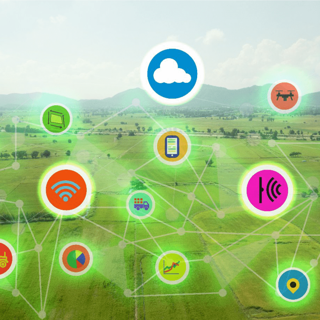 Blog | Sherpa Project